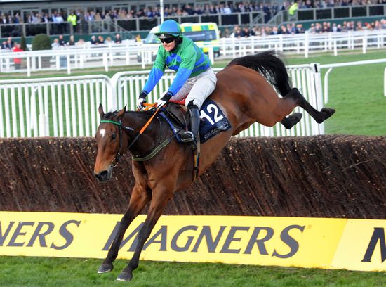 National Hunt Horse Racing 2020 Cheltenham Editorial Stock Photo ...