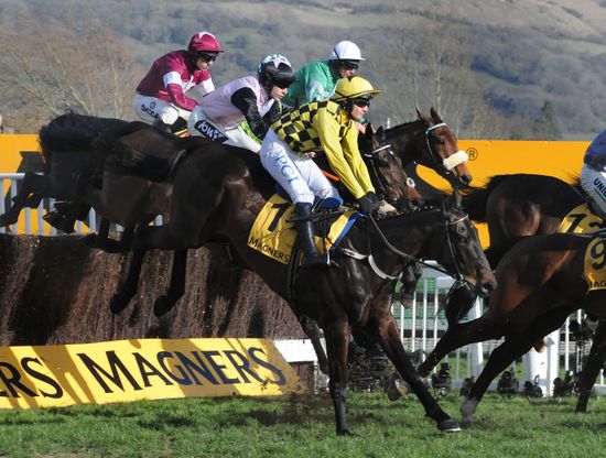 National Hunt Horse Racing 2020 Cheltenham Editorial Stock Photo ...