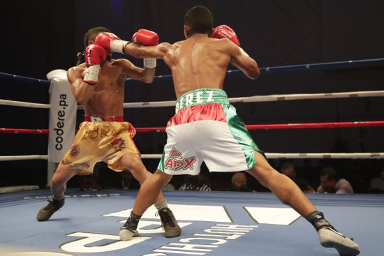 Ramses Perez R Mexico Fights Against Editorial Stock Photo - Stock Image | Shutterstock