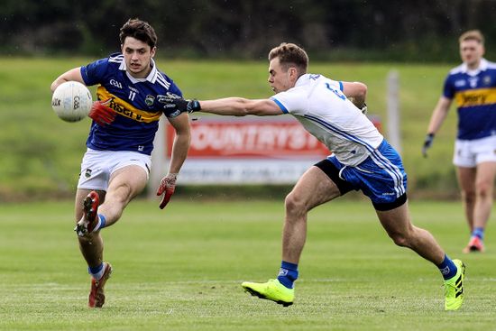 Waterford Vs Tipperary Waterfords Brian Looby Editorial Stock Photo ...