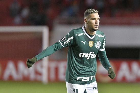Raphael Navarro Palmeiras Celebrates After Scoring Editorial Stock ...