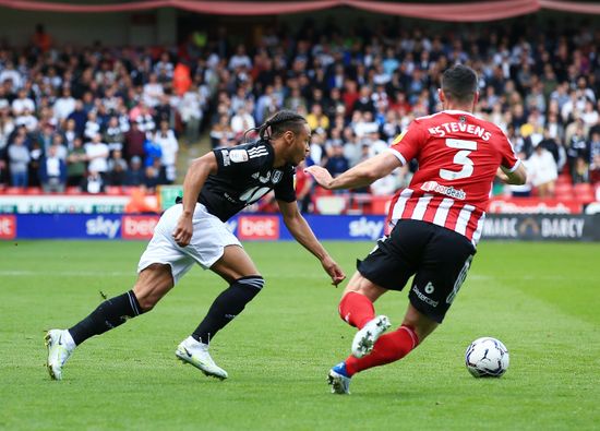 Bobby Reid Fulham Enda Stevens Sheffield Editorial Stock Photo - Stock ...