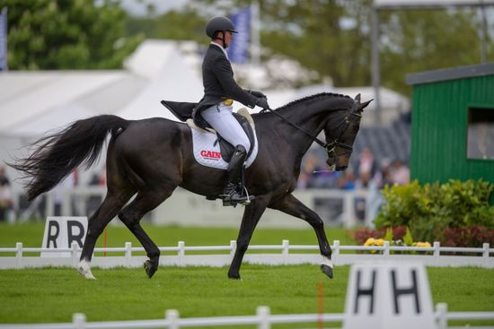 David Doel Gbr Riding Galileo Nieuwmoed Editorial Stock Photo - Stock ...