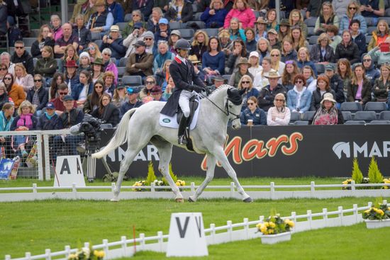 Harry Meade Gbr Riding Away Cruising Editorial Stock Photo - Stock ...