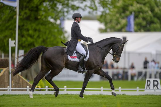 David Doel Gbr Riding Galileo Nieuwmoed Editorial Stock Photo - Stock ...