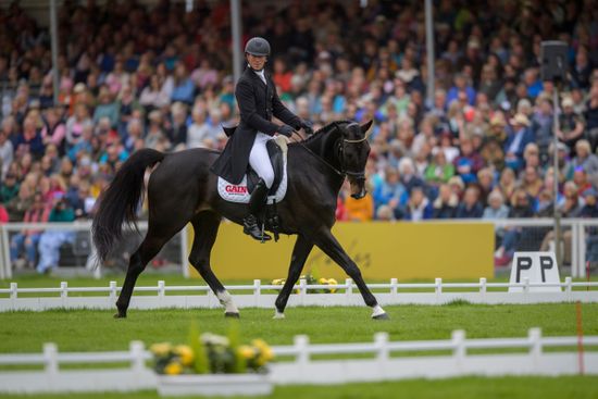 David Doel Gbr Riding Galileo Nieuwmoed Editorial Stock Photo - Stock ...