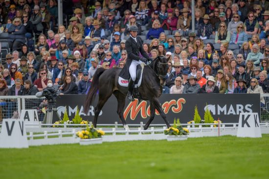 David Doel Gbr Riding Galileo Nieuwmoed Editorial Stock Photo - Stock ...