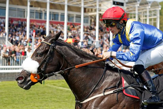 Tees Spirit Connor Murtagh Wins Join Editorial Stock Photo - Stock ...