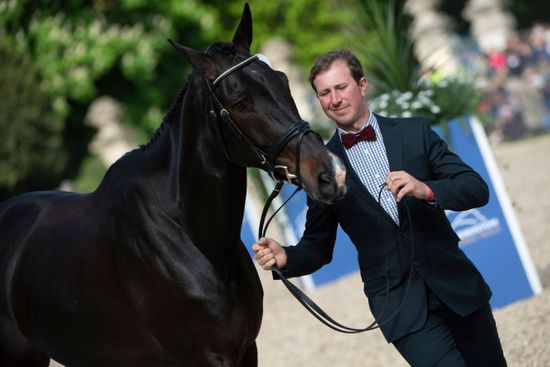 David Doel Gbr Riding Galileo Nieuwmoed Editorial Stock Photo - Stock ...