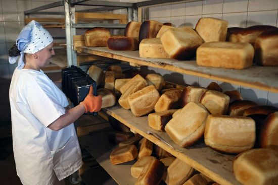 Bakery Worker Unloads Freshlybaked Bread Armed Editorial Stock Photo ...