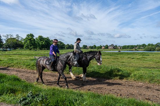 Group Horse Riders On Bright Morning Editorial Stock Photo - Stock ...