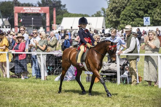 Childs First Ridden Pony Entrants During Editorial Stock Photo - Stock ...
