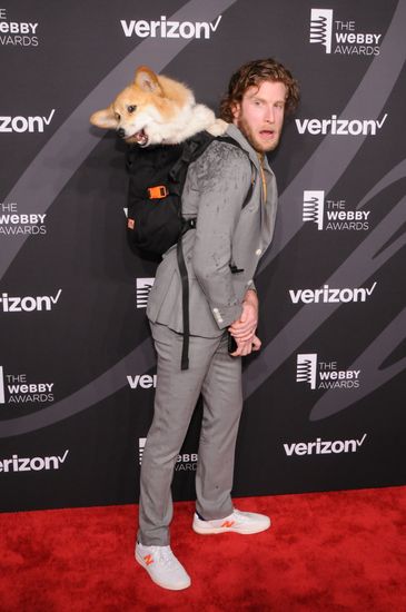 Mad Max Fluffy Road Maxine Fluffy Editorial Stock Photo - Stock Image ...