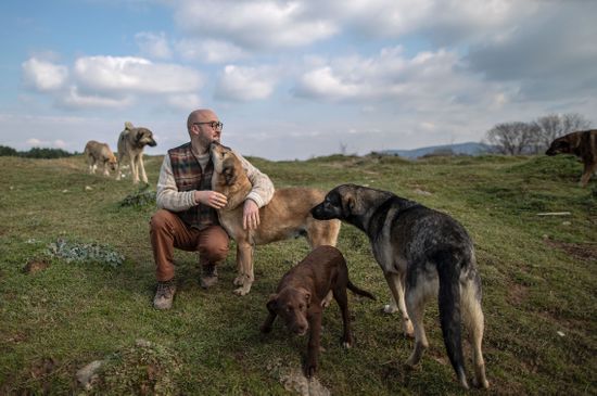Mert Akkok Hugs Abandoned Dogs Countryside Editorial Stock Photo ...