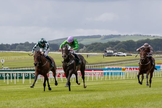 Weatherbys Ireland Greenlands Stakes William Buick Editorial Stock ...
