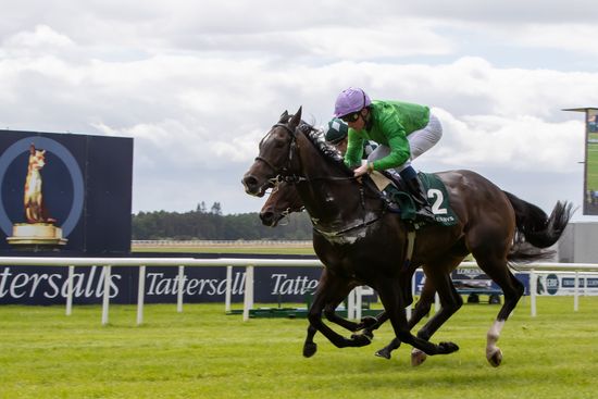 Weatherbys Ireland Greenlands Stakes William Buick Editorial Stock ...