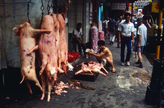 Street Butcher Shop Outskirt Beijing China Editorial Stock Photo ...