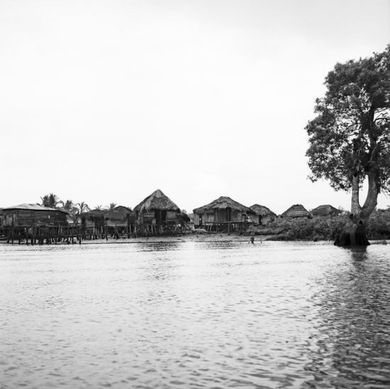 Colombias Mangrove Swamps Colombia 1960s Editorial Stock Photo - Stock ...