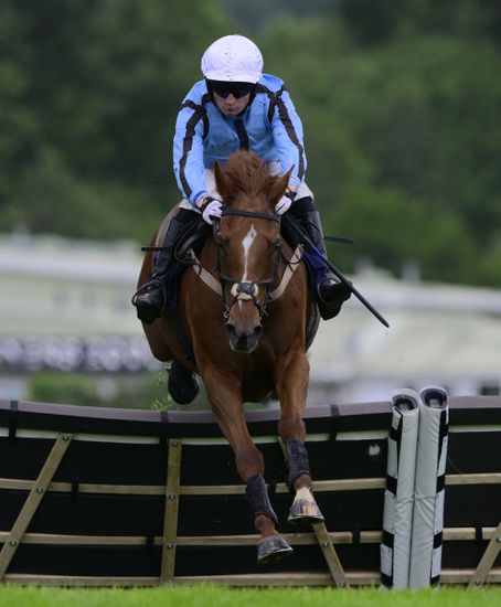 Martha Burell Ridden By Harry Kimber Editorial Stock Photo - Stock ...