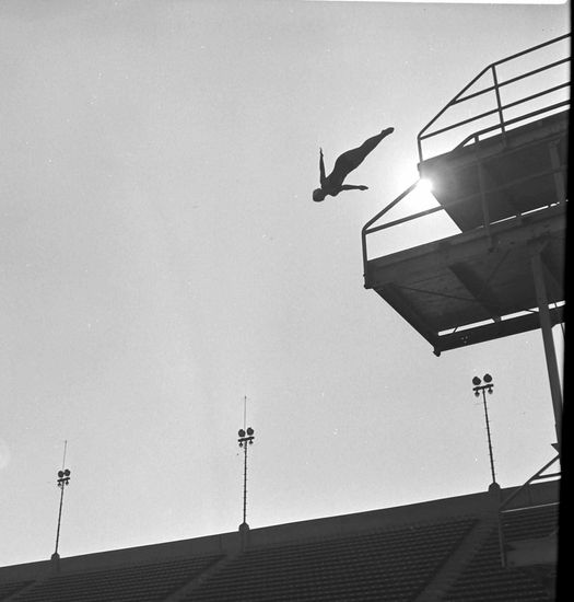 Pat Mccormick Diving On Pool United Editorial Stock Photo - Stock Image ...