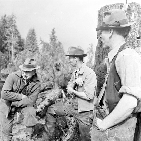 Men Gathering Forest Tillamook Oregon 1942 Editorial Stock Photo ...