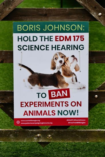 Banner Ban Animal Testing On Home Editorial Stock Photo - Stock Image ...