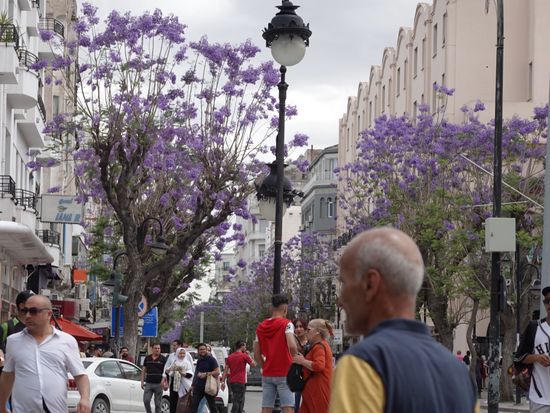 People Walk On Street Flanked By Editorial Stock Photo - Stock Image ...