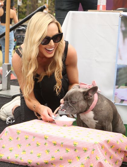 Summer Loftis Vanderpump Dog Foundations 6th Editorial Stock Photo ...