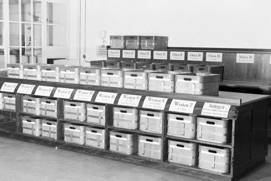 Alphabetical Book Sorting System Library Magazine Editorial Stock Photo ...