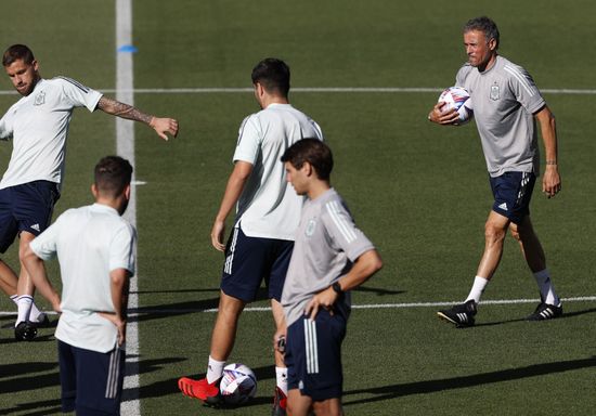 Spains Soccer Team Head Coach Luis Editorial Stock Photo - Stock Image ...