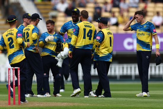 Wicket Bears Celebrate Wicket Aaron Lilley Editorial Stock Photo ...