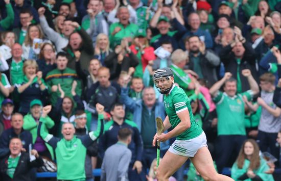 Clare Vs Limerick Limericks Gearoid Hegarty Editorial Stock Photo ...
