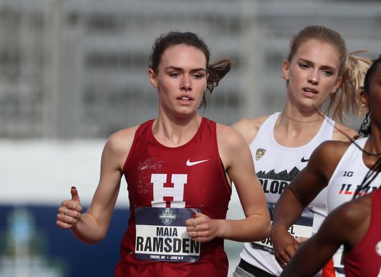 Maia Ramsden Harvard Competes Womens 1500 Editorial Stock Photo - Stock ...
