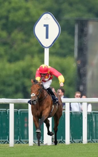 Jockey Shane Cross Wins Prince Wales Editorial Stock Photo - Stock ...