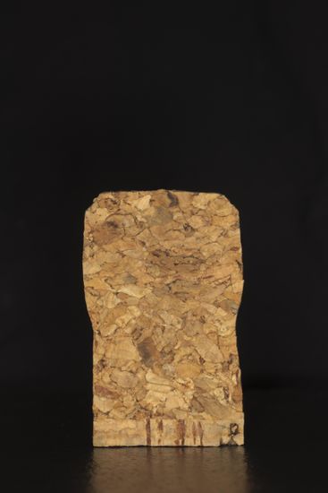 Halved Pressed Natural Cork Champagne Bottle Editorial Stock Photo ...