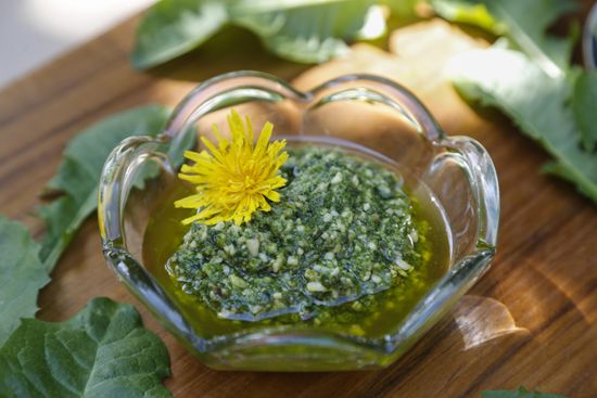 Southern German Cuisine Dandelion Pesto Common Editorial Stock Photo ...