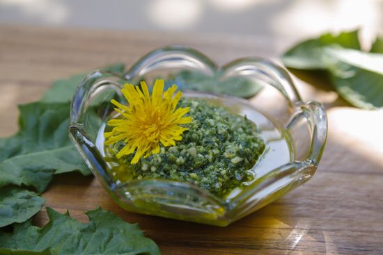 Southern German Cuisine Dandelion Pesto Common Editorial Stock Photo ...