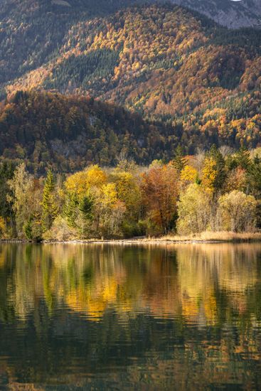 Lake Kochel Autumn Alpine Foothills Lake Editorial Stock Photo - Stock ...
