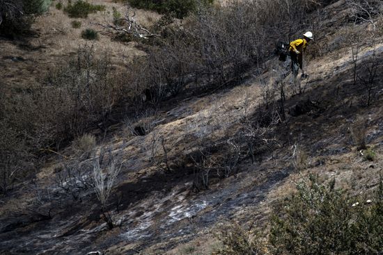 Firefighter Works Area Burnt By Sheep Editorial Stock Photo - Stock ...