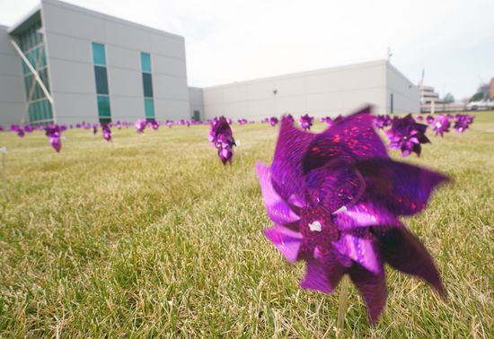 Purple Pinwheels Spin On Lawn Federal Editorial Stock Photo - Stock ...