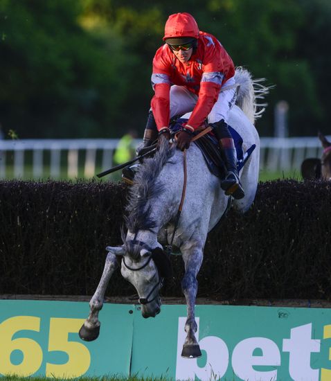 Race Winner My Lady Grey Ridden Editorial Stock Photo - Stock Image ...