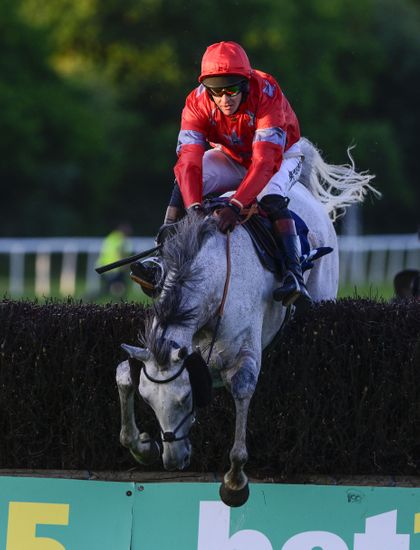 Race Winner My Lady Grey Ridden Editorial Stock Photo - Stock Image ...