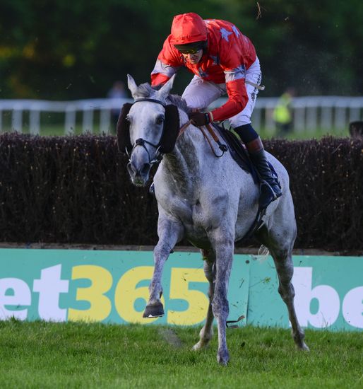 Race Winner My Lady Grey Ridden Editorial Stock Photo - Stock Image ...
