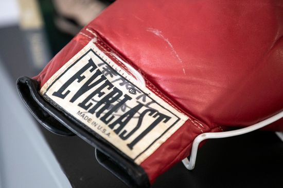 Mike Tysons 1996 Heavyweight Championship Fight Editorial Stock Photo ...