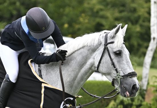 Winner Harriet Biddick Gbr Riding Silver Editorial Stock Photo - Stock ...