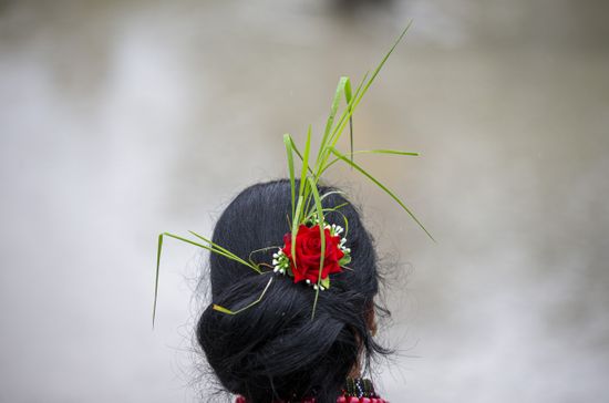 Farmers Decorated Hairstyle Paddy Field On Editorial Stock Photo ...