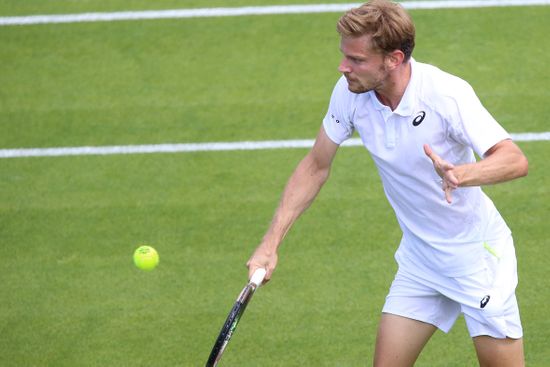 David Goffin Editorial Stock Photo - Stock Image | Shutterstock