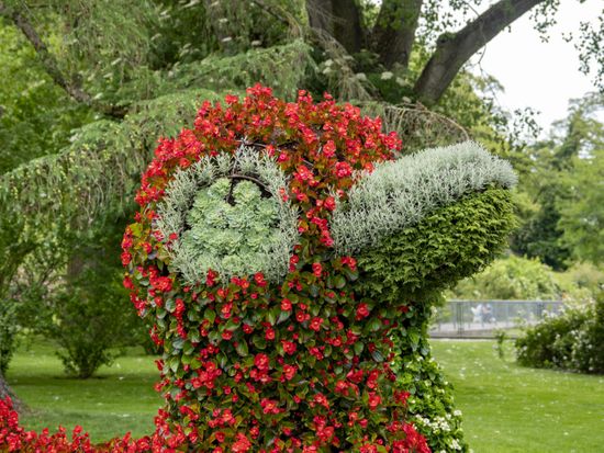 Flower Sculpture Duck Mainau Island Constance Editorial Stock Photo ...