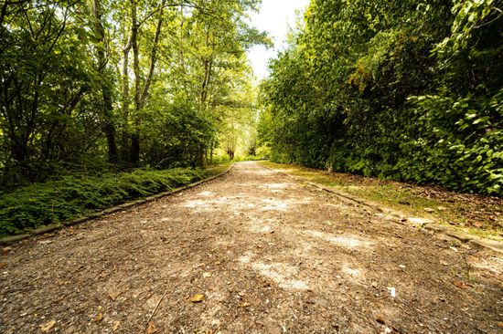 Hiking Trail Through Small Forest Park Editorial Stock Photo - Stock ...