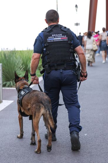 Municipal Police Patrol Dog Support Brigade Editorial Stock Photo ...